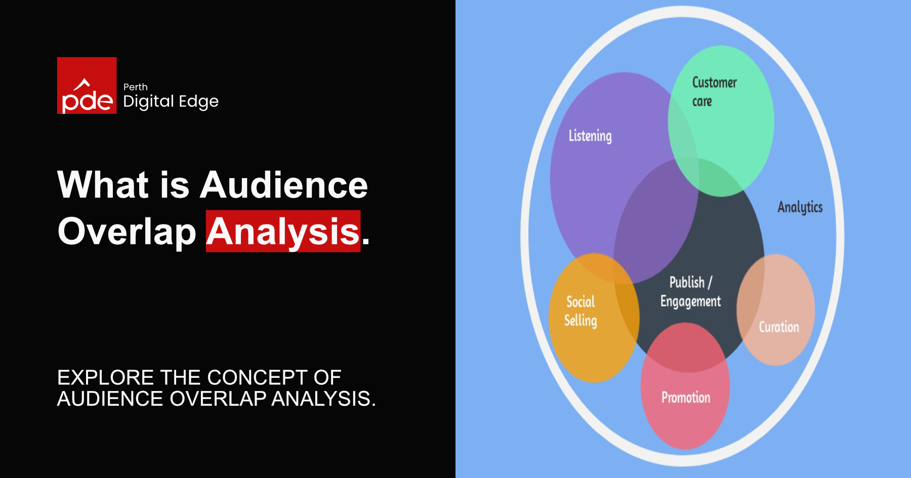 What Is Audience Overlap Analysis Perth Digital Edge